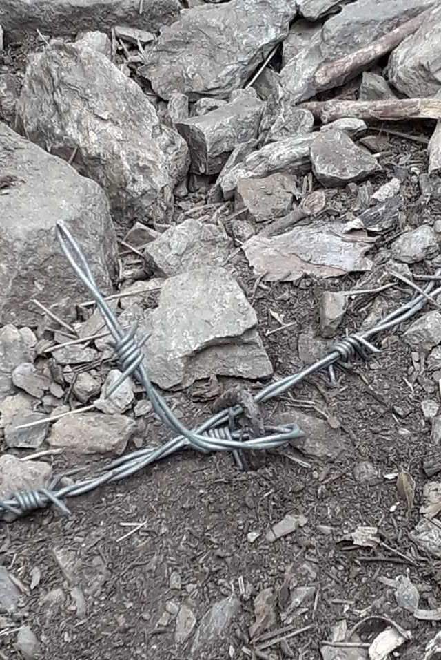 Who sets traps on logging roads?